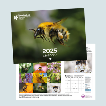 Bumblebee Conservation Trust shop