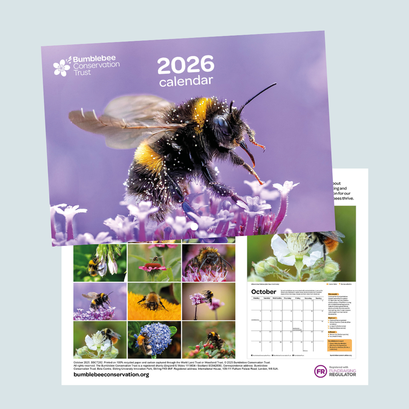 2026 bumblebee calendar – Bumblebee Conservation Trust