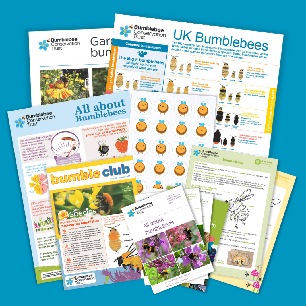 Shop – Page 2 – Bumblebee Conservation Trust