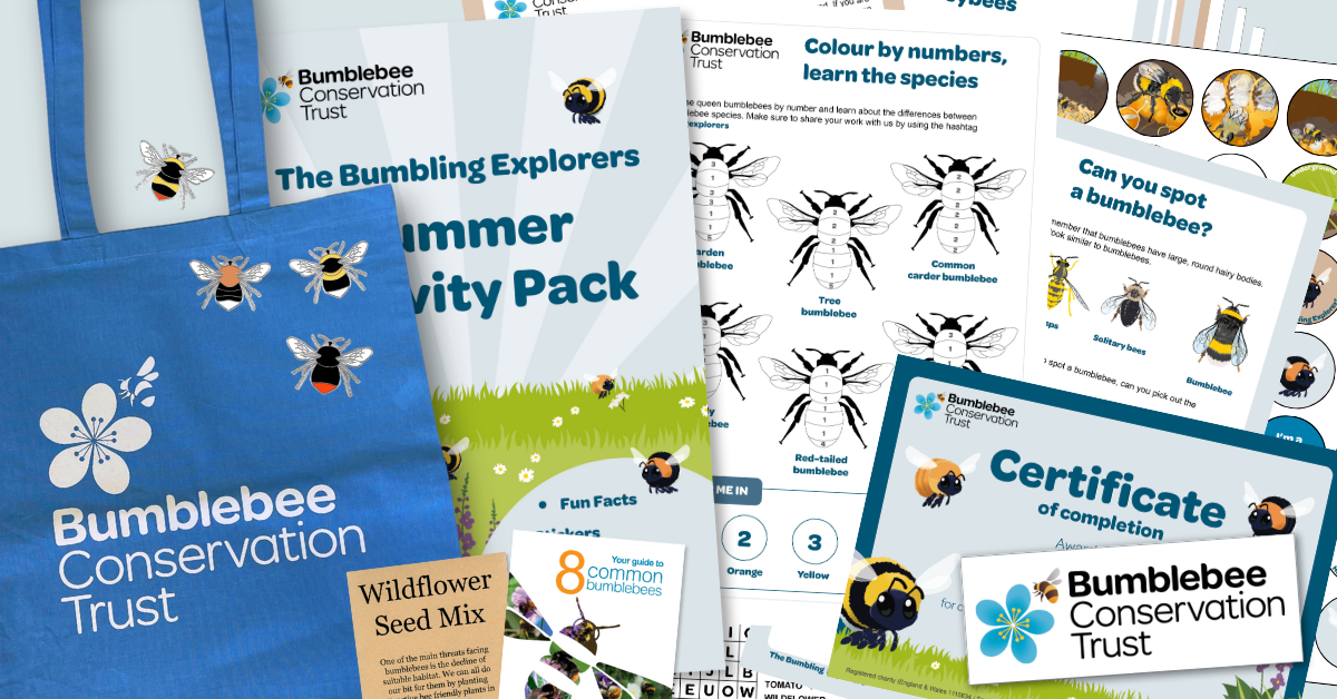 Bumblebee Conservation Trust shop